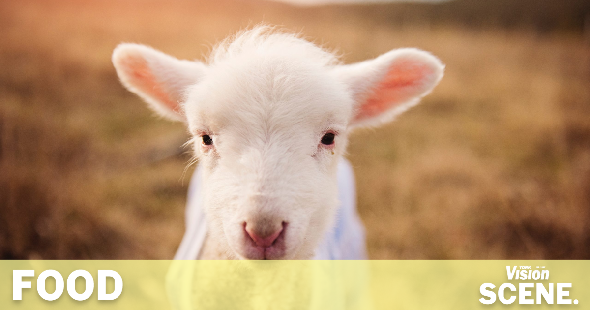 The Hypocrisy of What We Eat at Easter | York Vision