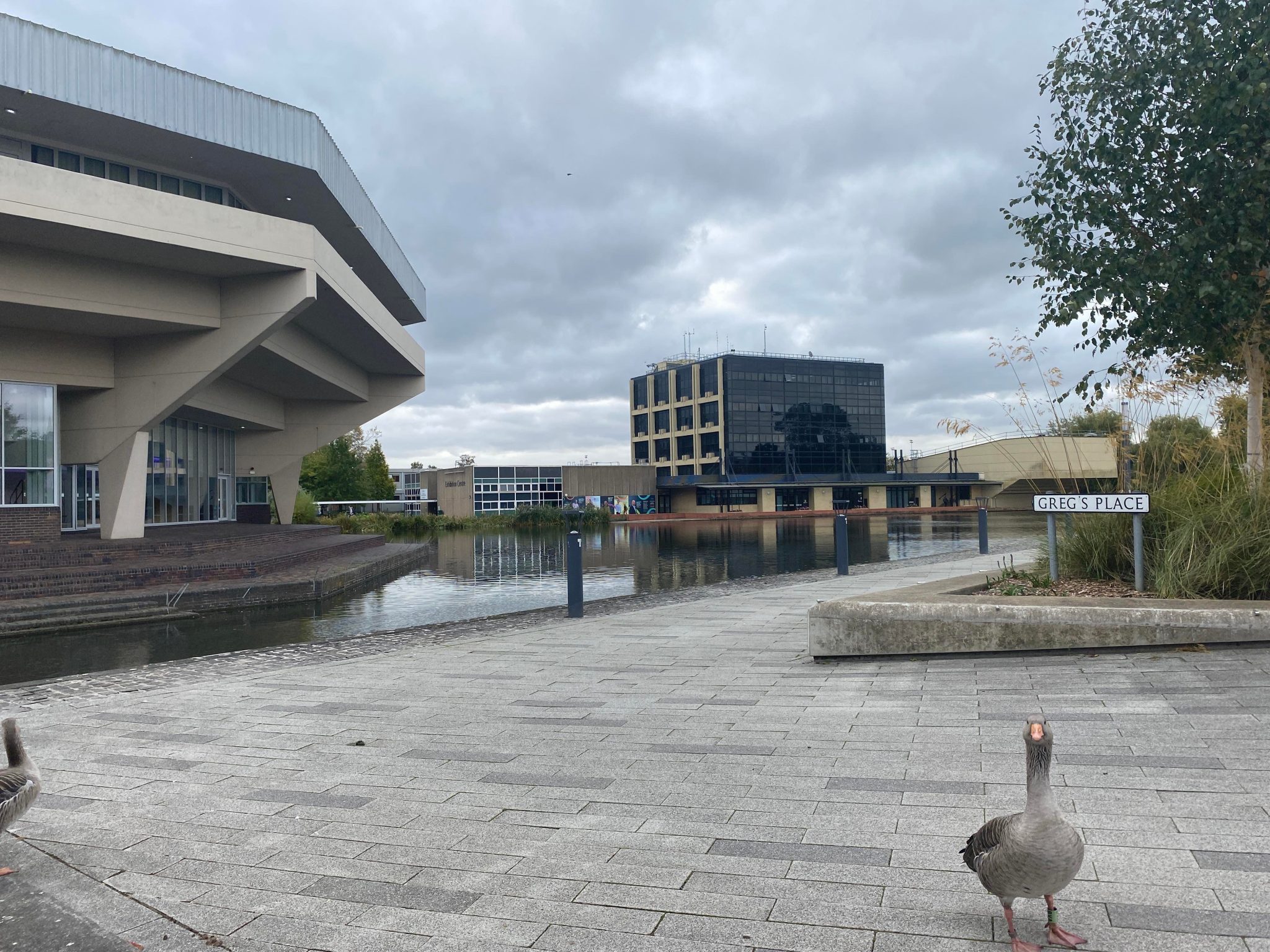 York Vision