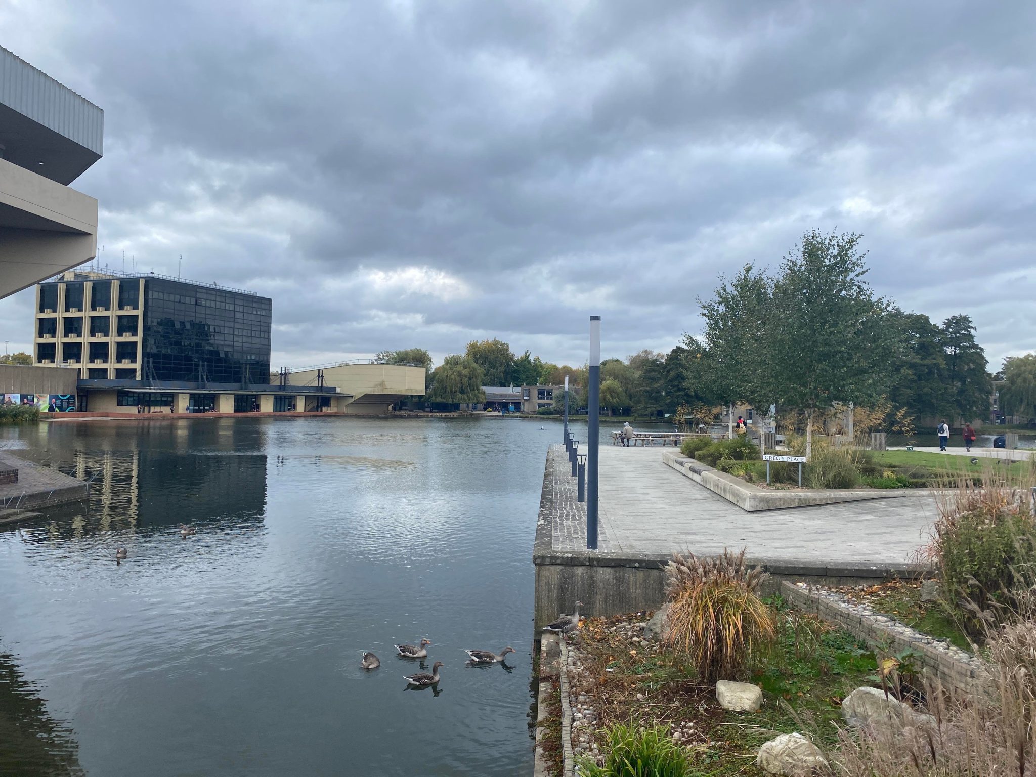 York Vision