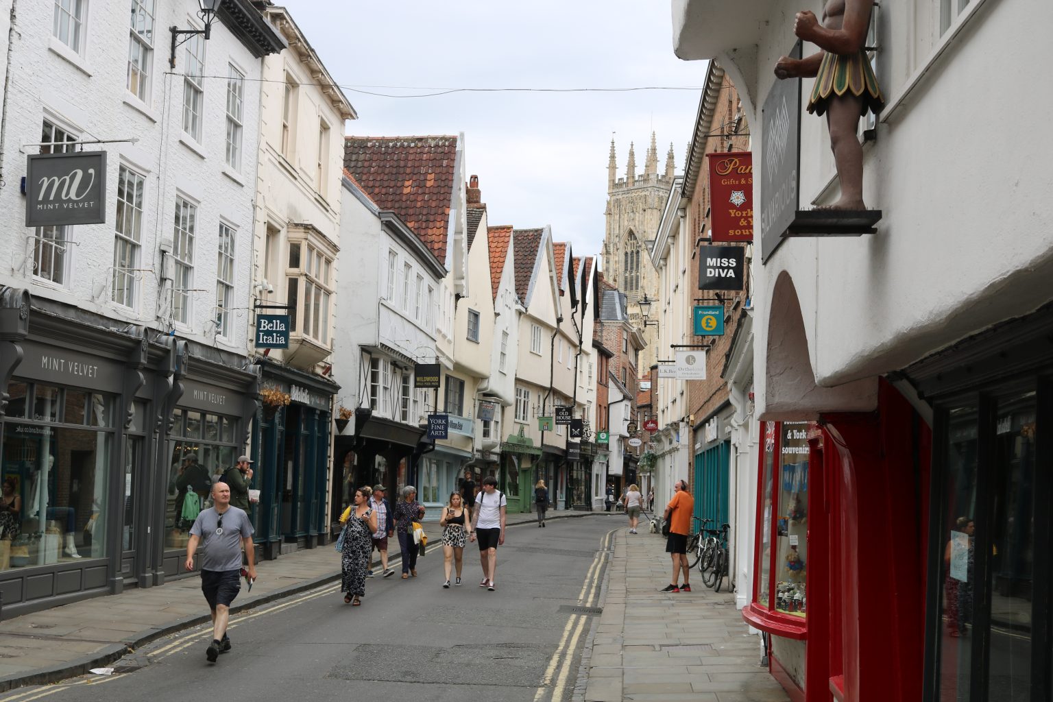York Vision