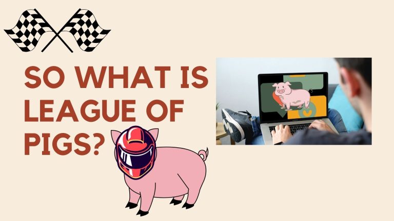 So, What is League of Pigs? | York Vision