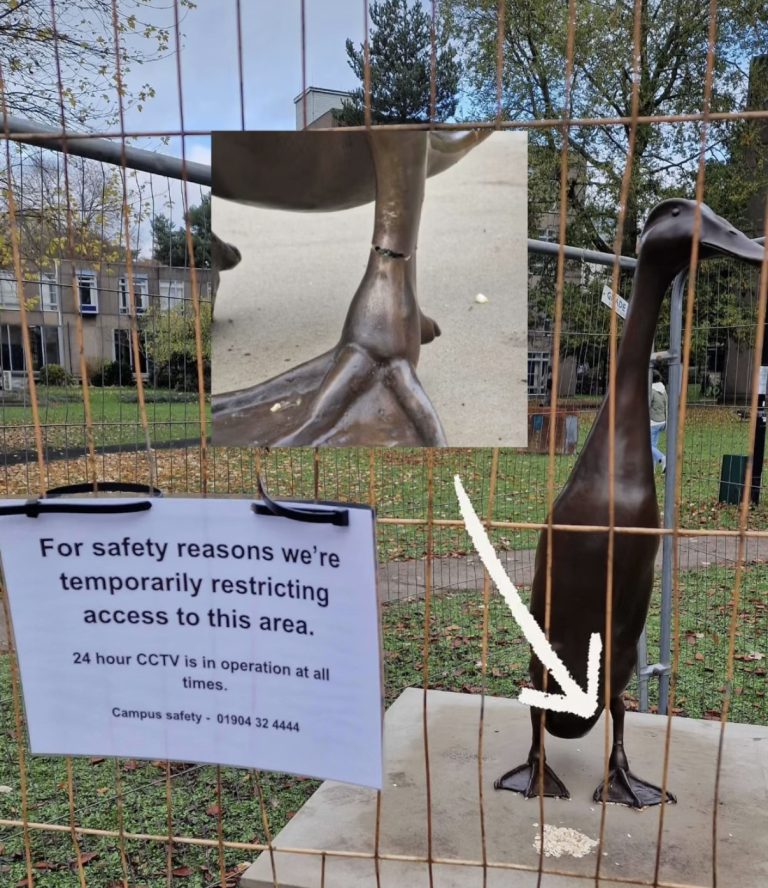 EXCLUSIVE: University Fails to Identify Perpetrators of Long Boi Statue ...